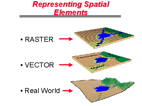 Representing Spatial Elements