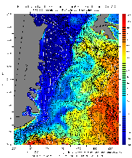 East Greenland Current SST and Surface Velocity